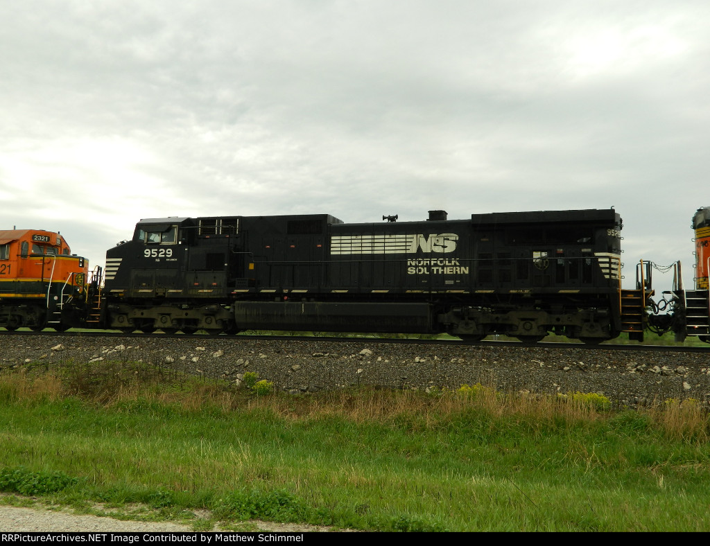 NS 9529-Roster Shot